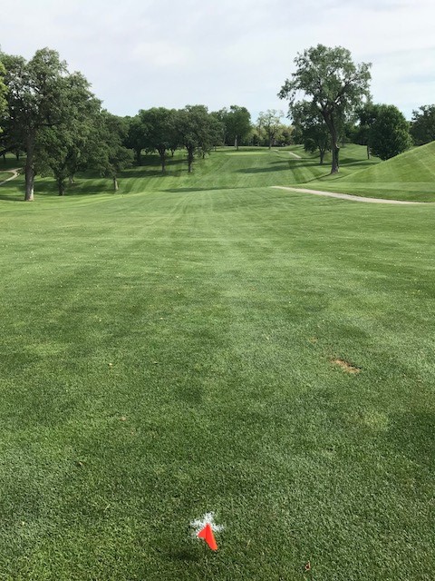 Field Club of Omaha Turf Blog