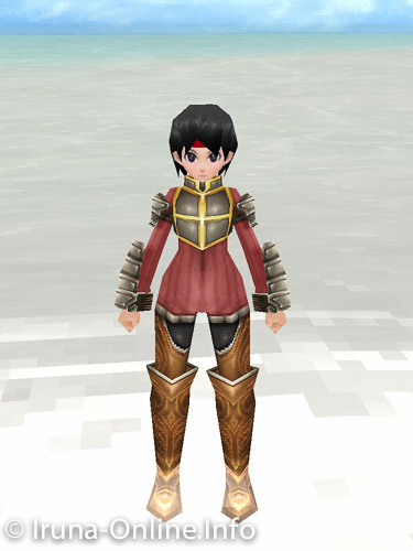 Iruna Online Class Builds