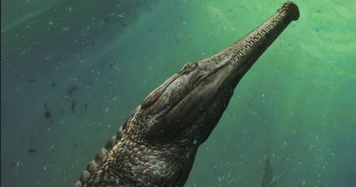 Penemuan Fosil Buaya Laut Raksasa - cekrisna