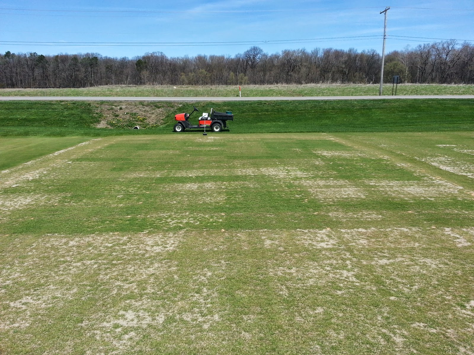 Michigan State University: Creeping Bentgrass Establishment