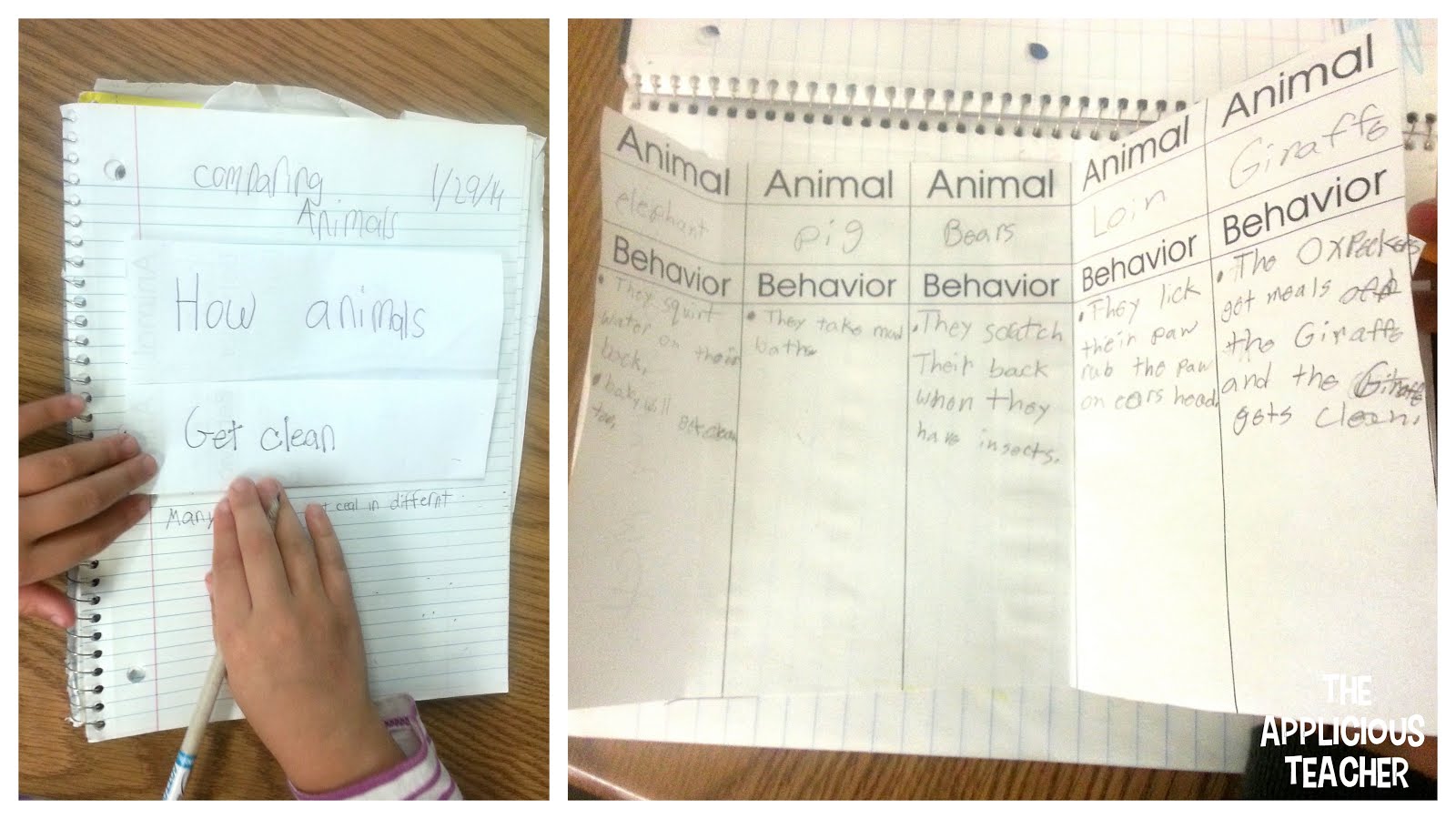 Reading Response Journals: Helping students better engage with Text