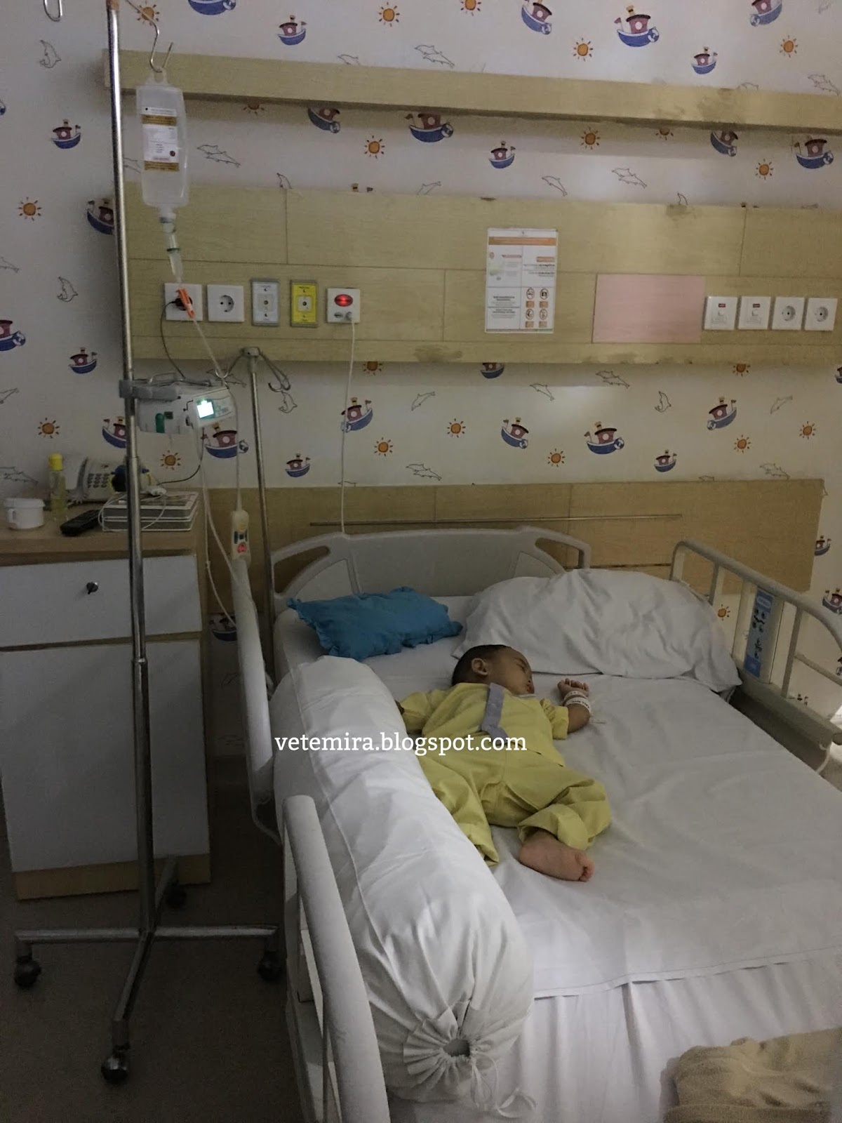 Story of My Journey: Kejang Demam dan Roseola Infantum