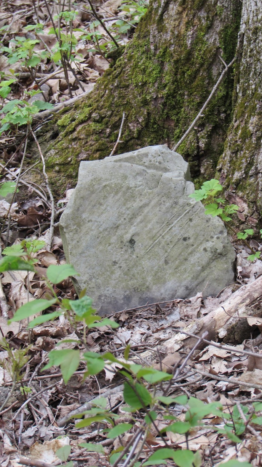 Clarks Gully NY--Ancient Sacred Site