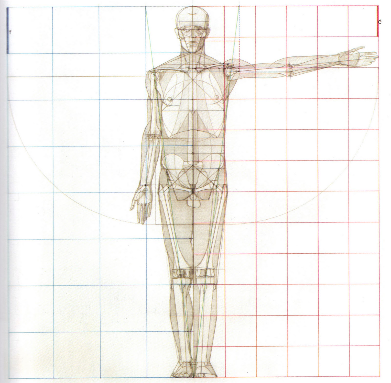 Foundation Figure: January 2012