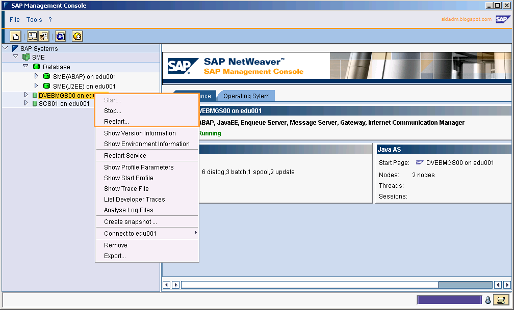 sidadm: SAP Management Console