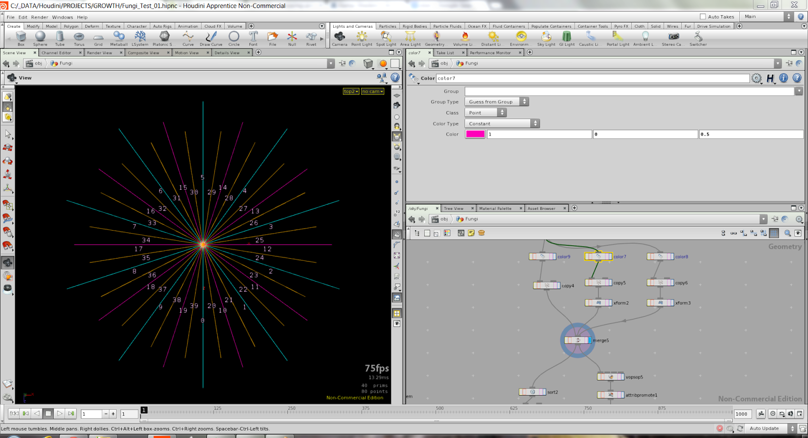 NSDesign - Houdini Projects and Experiments: Mushroom Gills - Radial ...