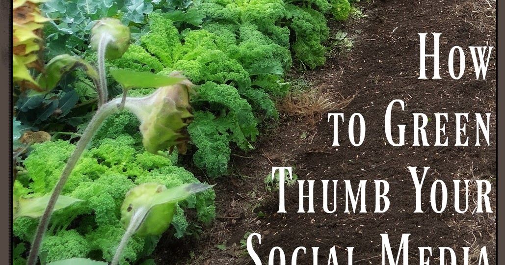 The Write Conversation: How to Green Thumb Your Social Media