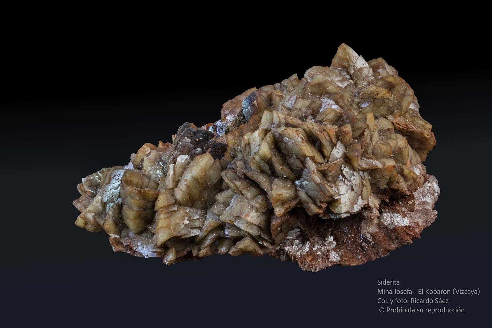 MineralesDB: Siderita, Mina Josefa, Kobaron, Colección Ricardo Sáez