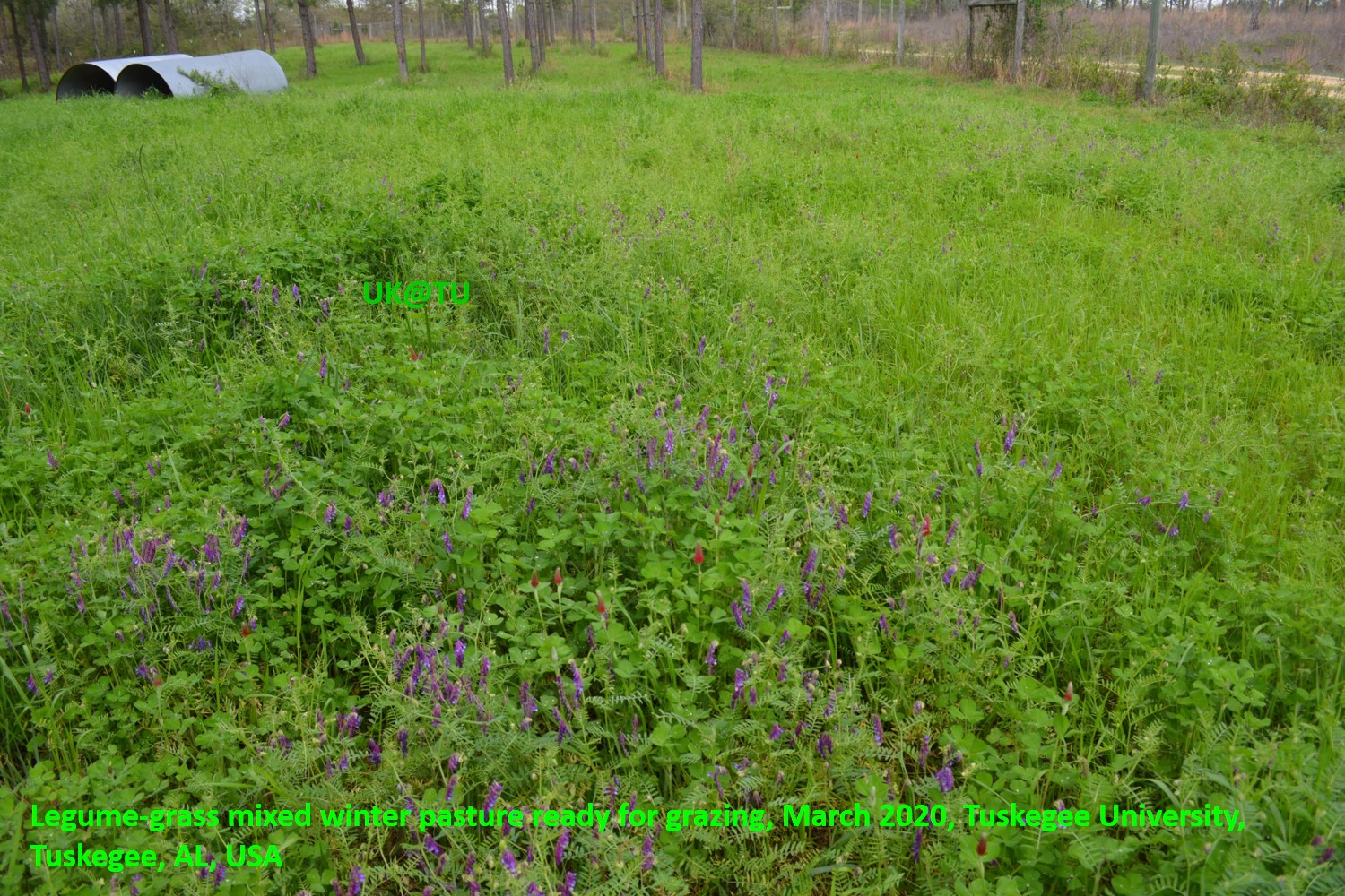 Livestock Communication: 2020