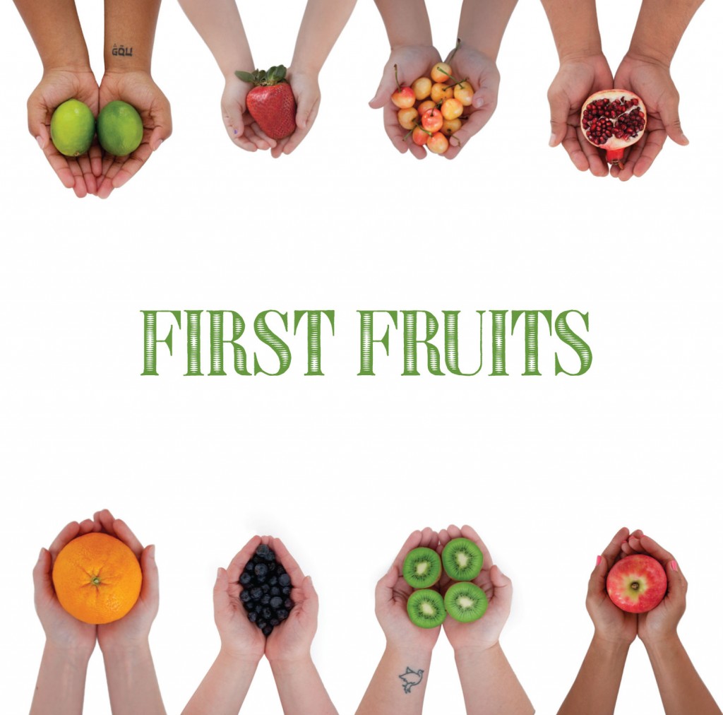 CROSSFIT FAITH: June 2013