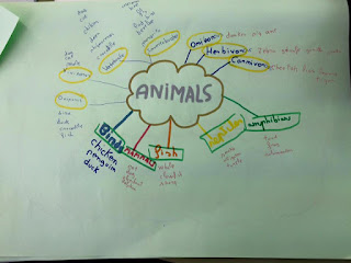 OUR ENGLISH CLASS: Animals around the World