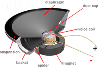 Various Types Of Speaker Components:
