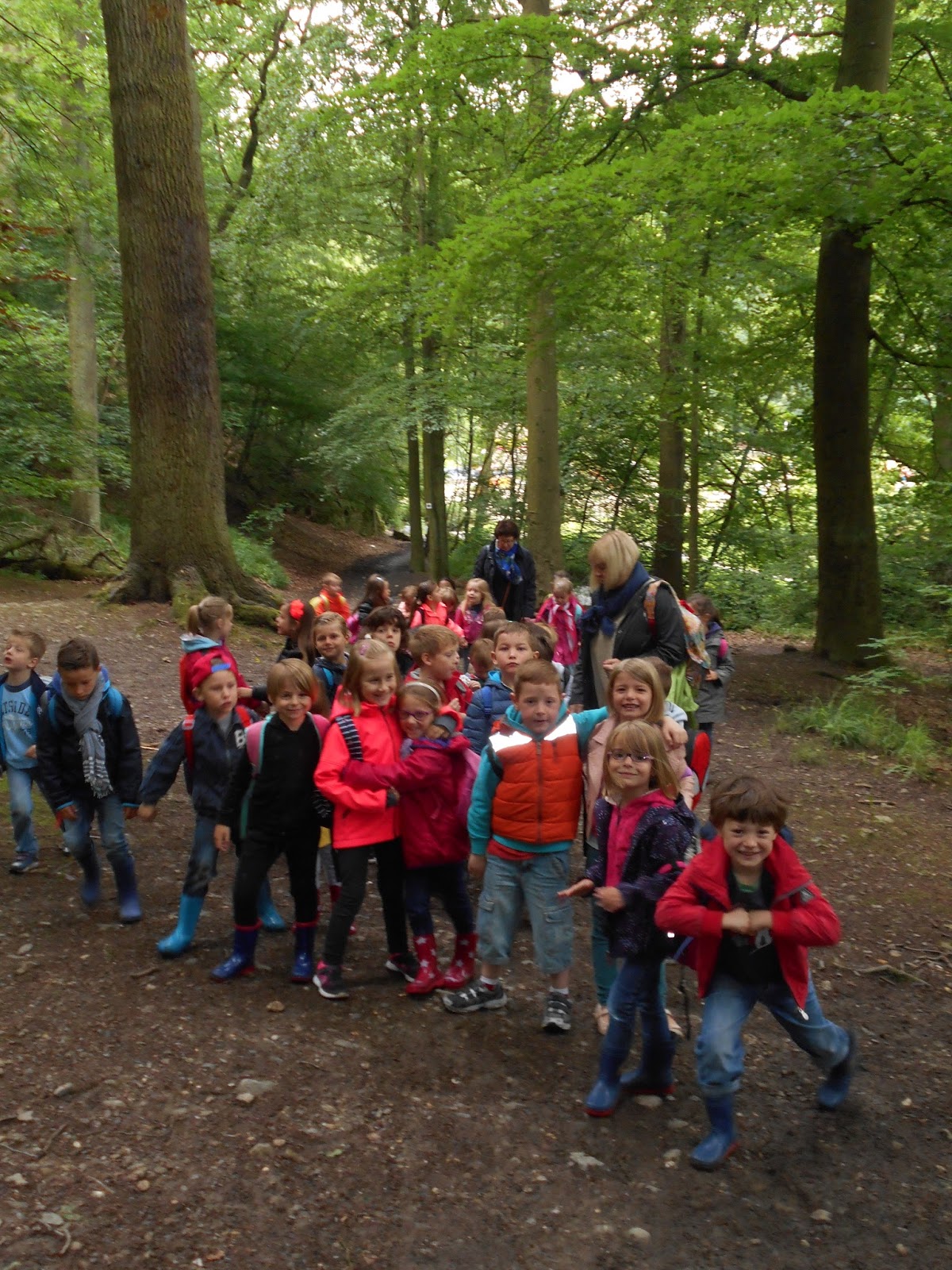 Excusion au bois d'Argenteau... - École Saint-Joseph à Roclenge - Blog
