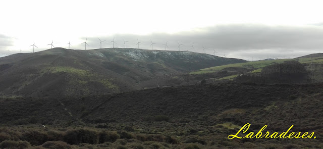 Labrada e os labradeses.: O día a día de Labrada. II