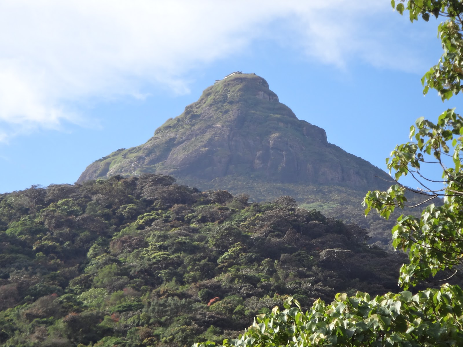 Tracy's Travels: Adam's Peak