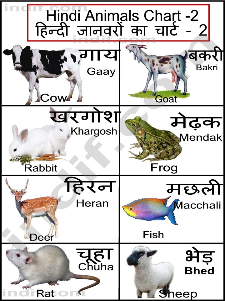 HINDI EK PAHACHAN LEARN HINDI THROUGH VARIOUS CHARTS hindi-ek-pahachan-learn-hindi-through-various-charts