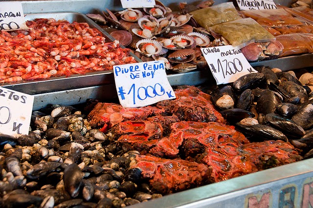 Pyura Chilensis: Rocas de Carne. ~ Dirty Mind Society