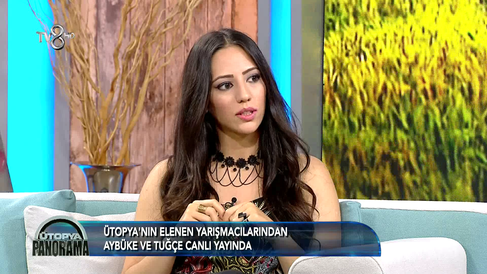 TV8 HD - Canlı Yayın İzle | Türksat Şifresiz HD Kanallar