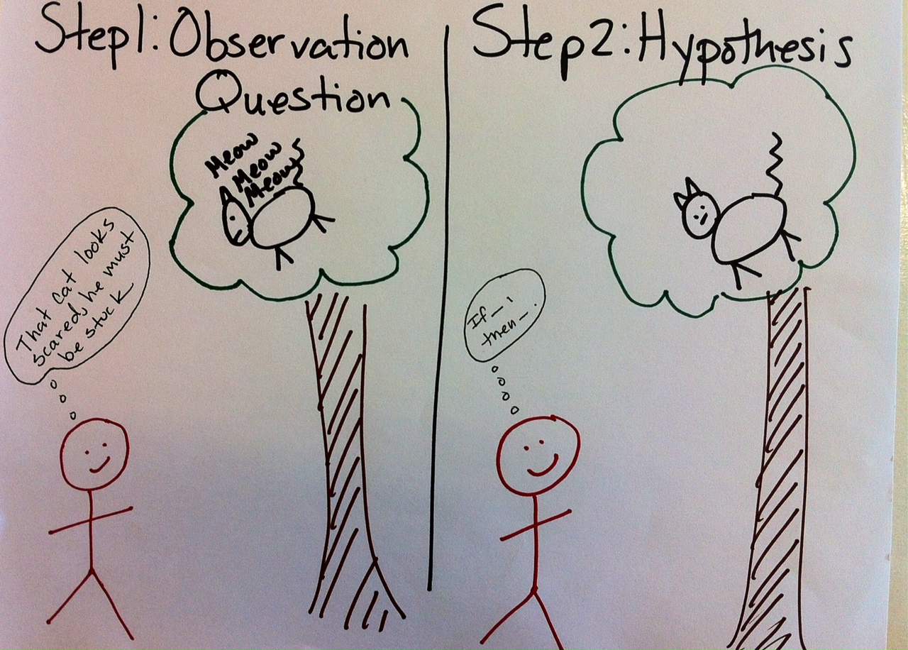 Science in Mrs. Candea's Classroom: The Scientific Method Cartoon Science in Mrs. Candea's Classroom: The Scientific Method Cartoon