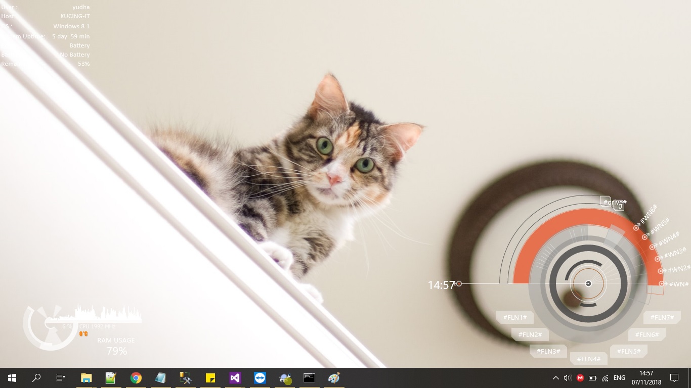 Windows 10 Dengan Tema Kucing ~ Yudha's World