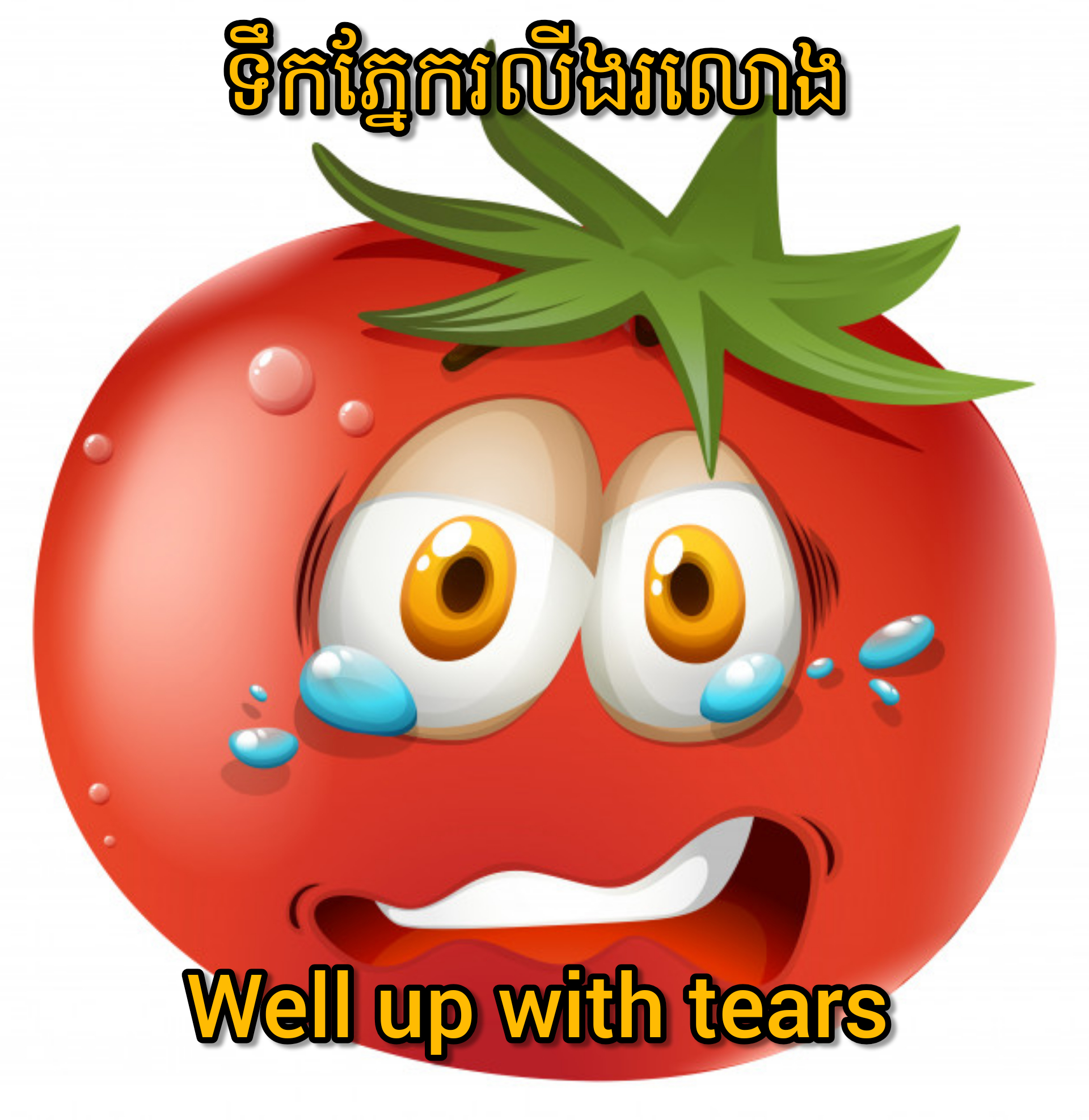 Learn English Expressions (EP4)