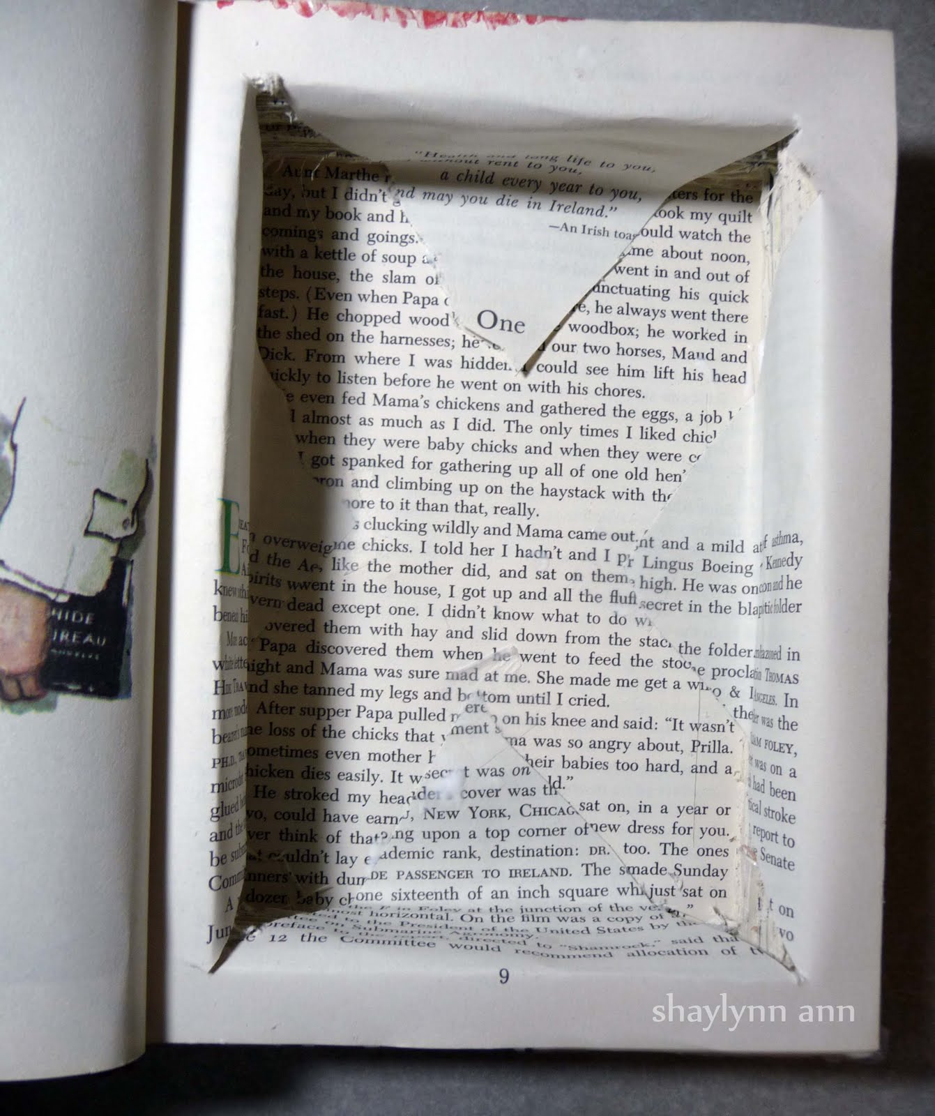 Secret Book Box Diy at Zoe Bastyan blog
