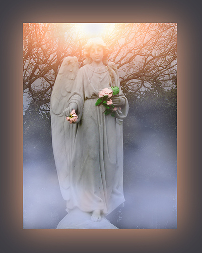 Angel's Protection — A Journey of Faith, Hope, and Love Through Our ...