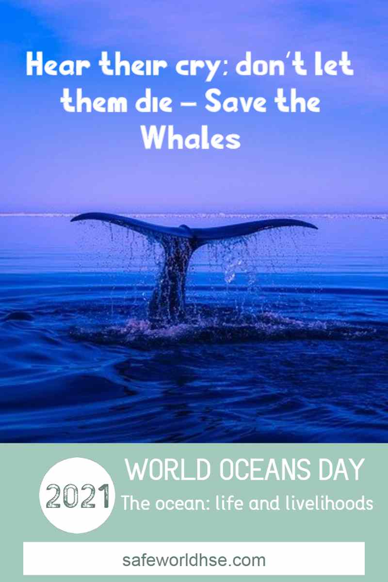 Best Slogans and Quotes on World Ocean Day 2021 with Image messages and ...