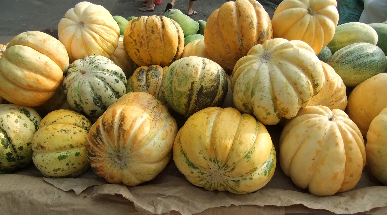 KOTA WALI KAMPUNG SANTRI: BUAH BLEWAH KOTA DEMAK