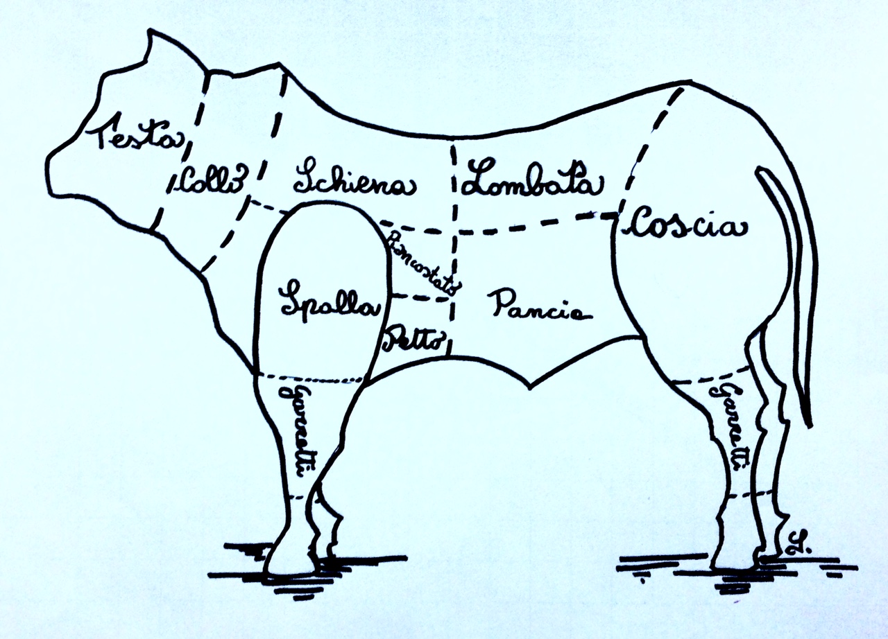 Shamira Gatta : Carne di bovino: I tagli, la scelta della carne ed il ...