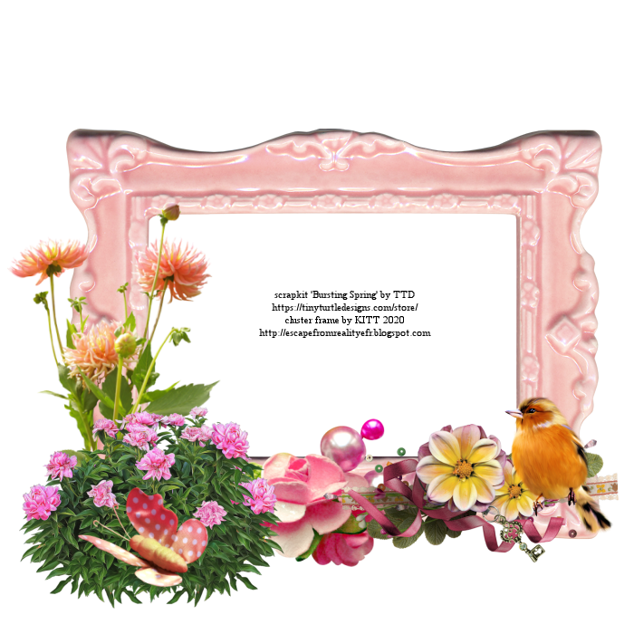 Escape From Reality Blog: FTU 'Bursting Spring' Cluster Frames TTD