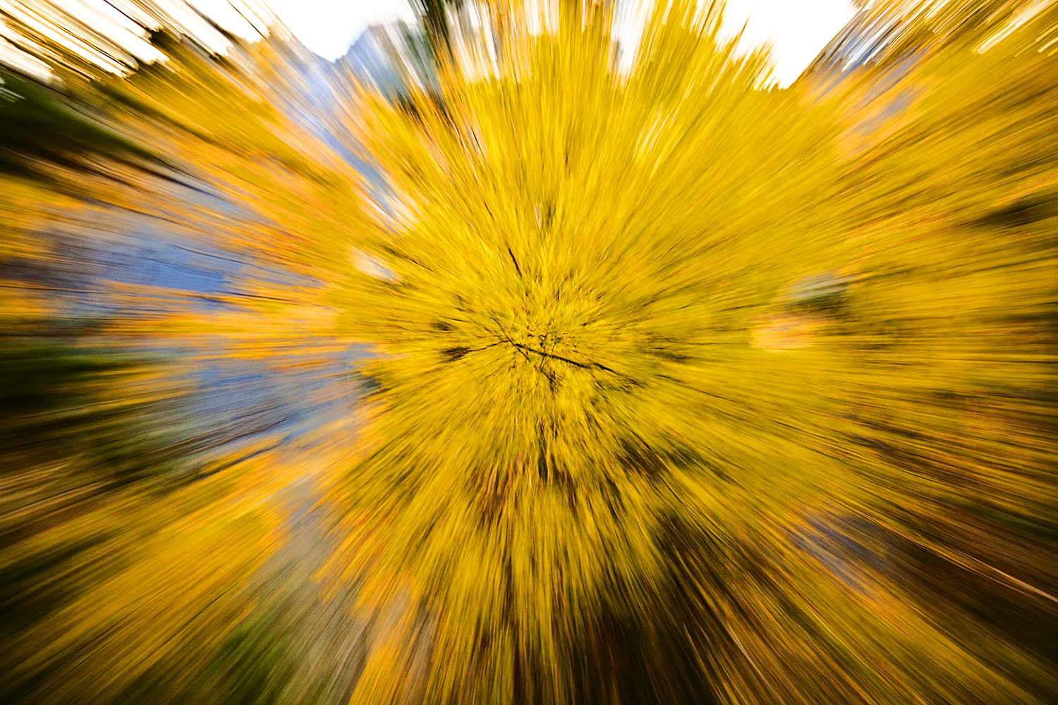 Steve Immel Photography Abstract Thinking steve-immel-photography-abstract-thinking