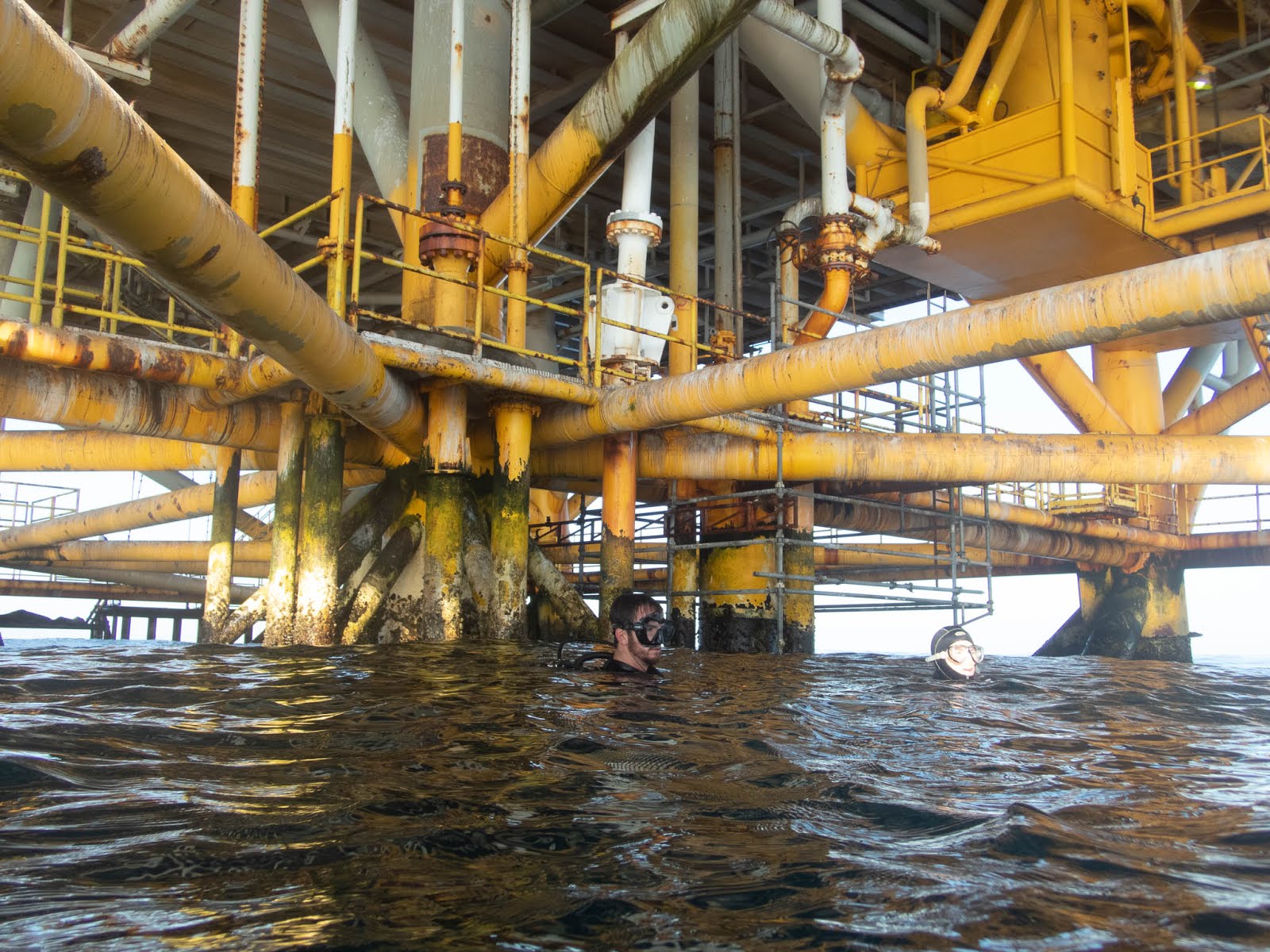 Diving Oil Rigs Ellen, Elly, & Eureka With The Sundiver Express - First ...