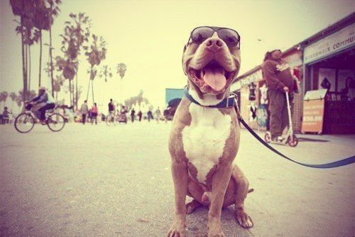 Beautiful World : Fresh Collection of Funny and Gorgeous Pics