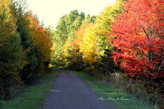 Aiken House & Gardens: Autumn Trails