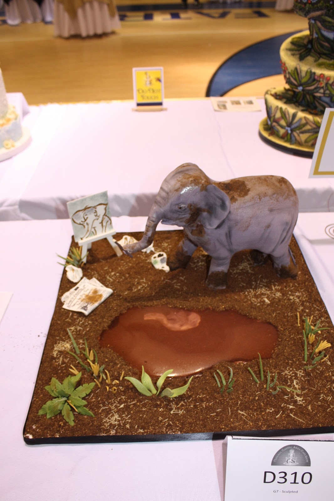 Sweet Eats Cakes: Capital Area Cake Show 2013 Divisional Cakes