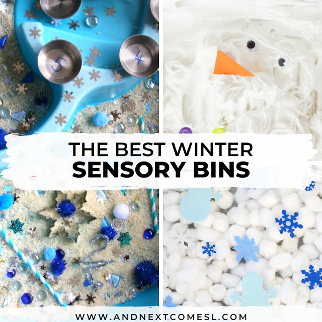 35+ Winter Sensory Bins for Kids | And Next Comes L - Hyperlexia Resources