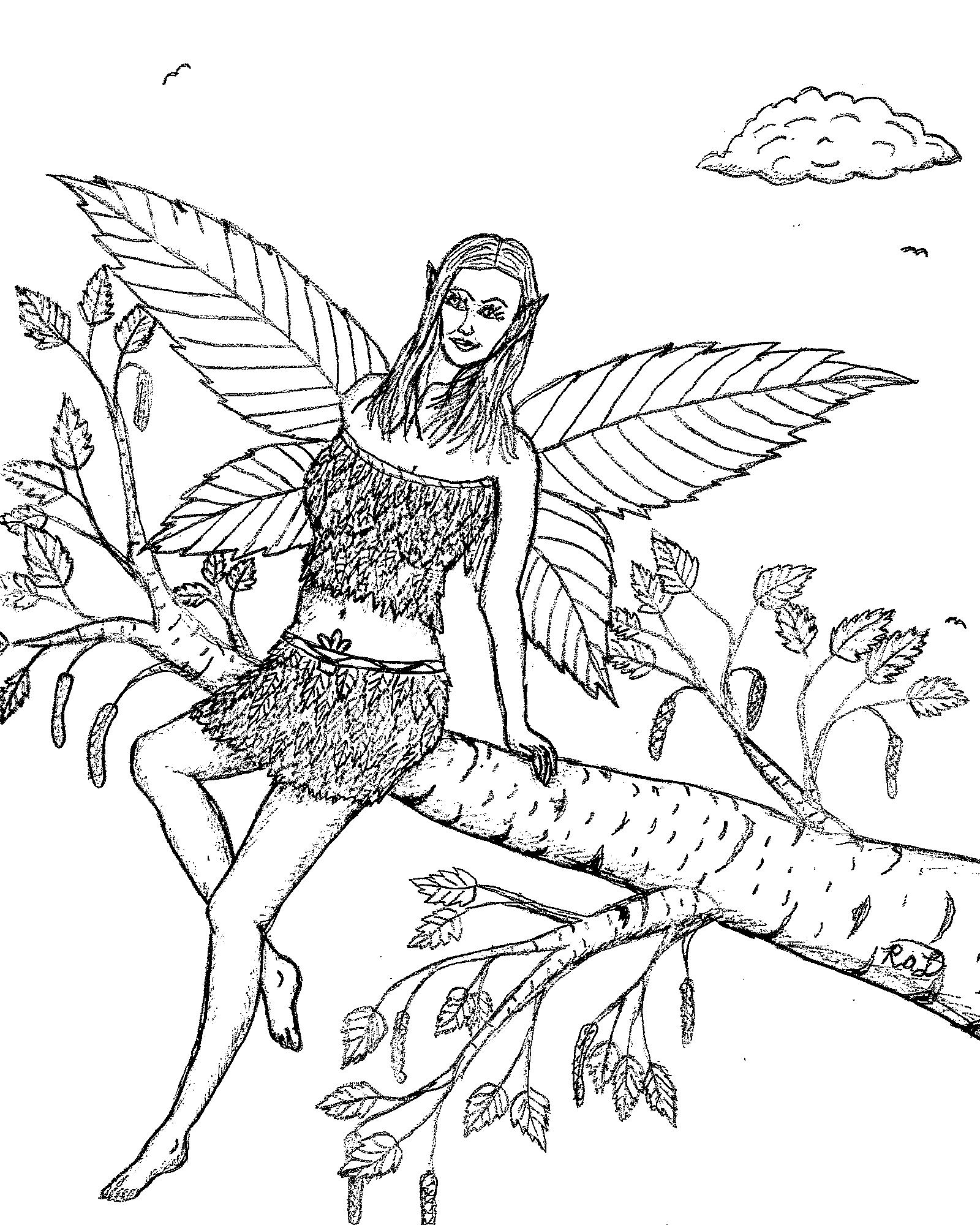 Robin's Great Coloring Pages: Tree Fairies - Birch Tree Fairy coloring ...