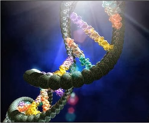 Apuntes de Bioquímica: Breve historia de la Bioquímica