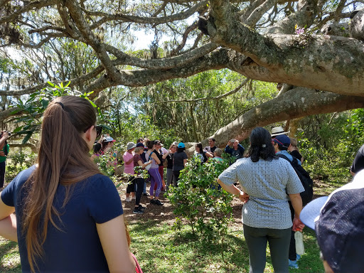 Profa.Msa. PathyGeo: RESERVA DO TAIM