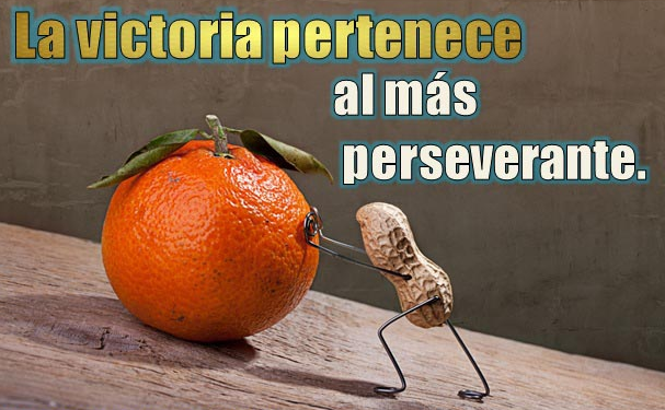 Marketing en la Red: Qué es la Perseverancia