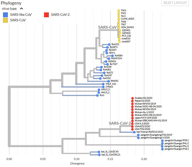 The Genealogical World of Phylogenetic Networks: Hack and fish ... for ... The Genealogical World of Phylogenetic Networks: Hack and fish ... for ...