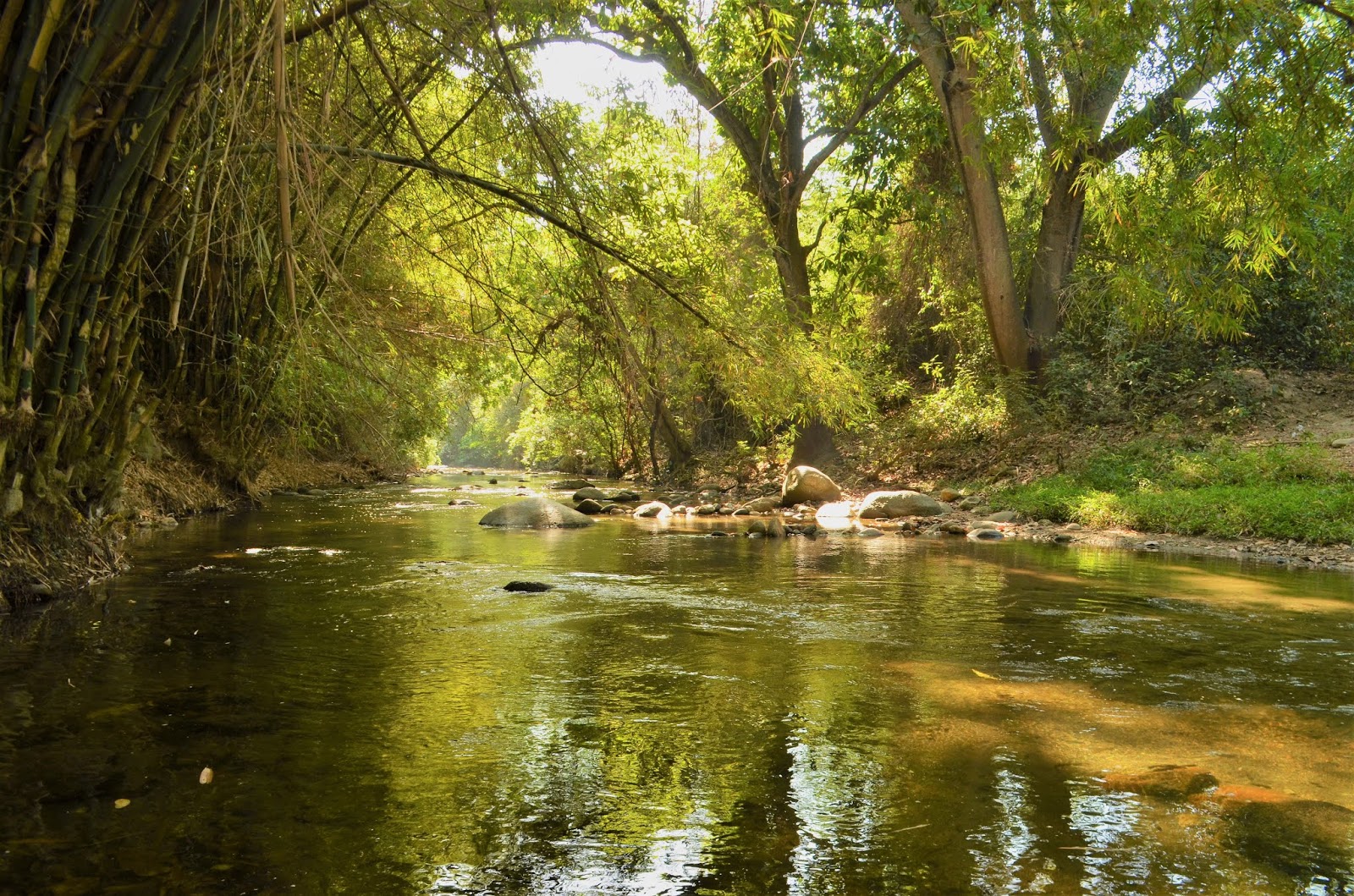 Punto de Información Turística Ciénaga Magdalena