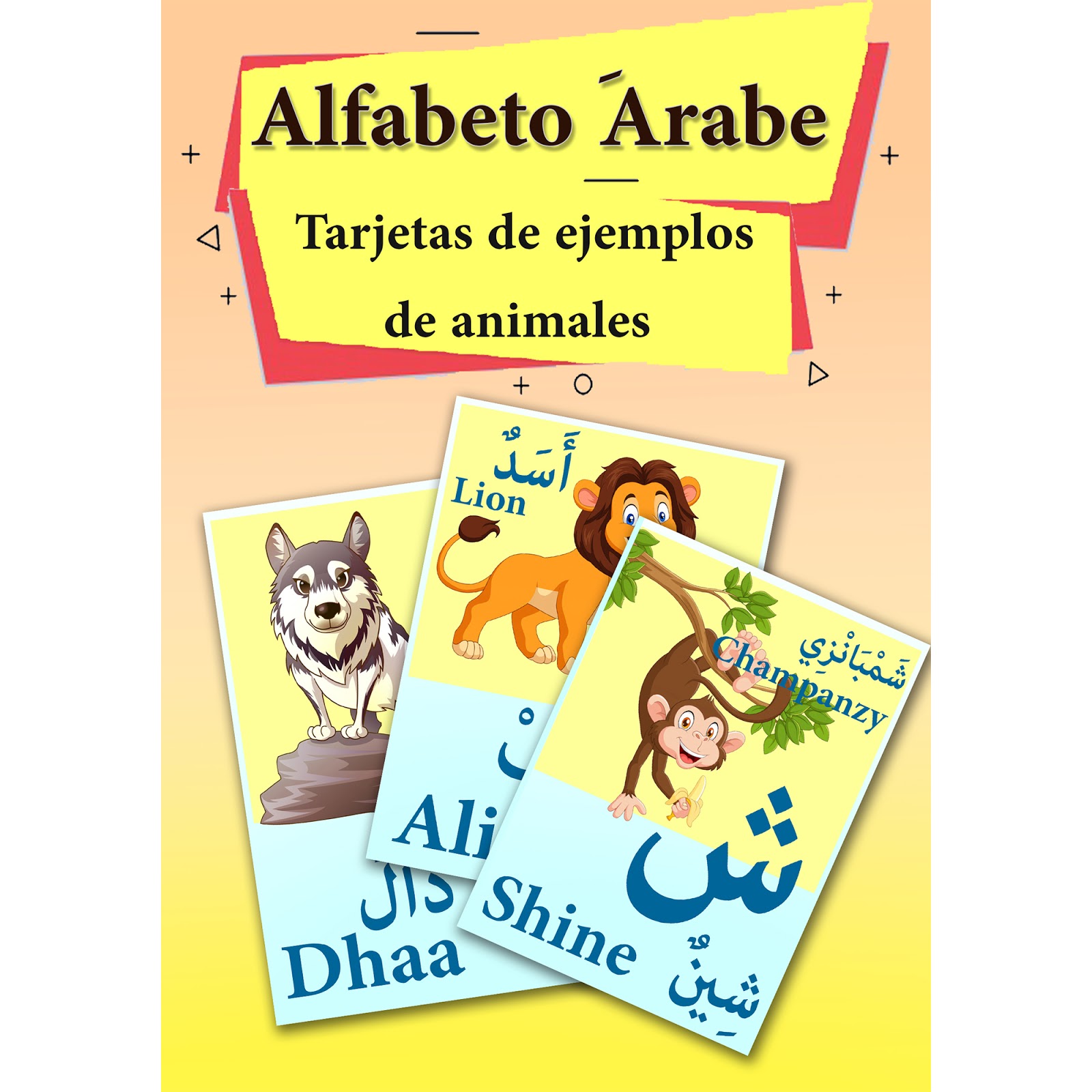 Spanish | Arabic Alphabet flashcards
