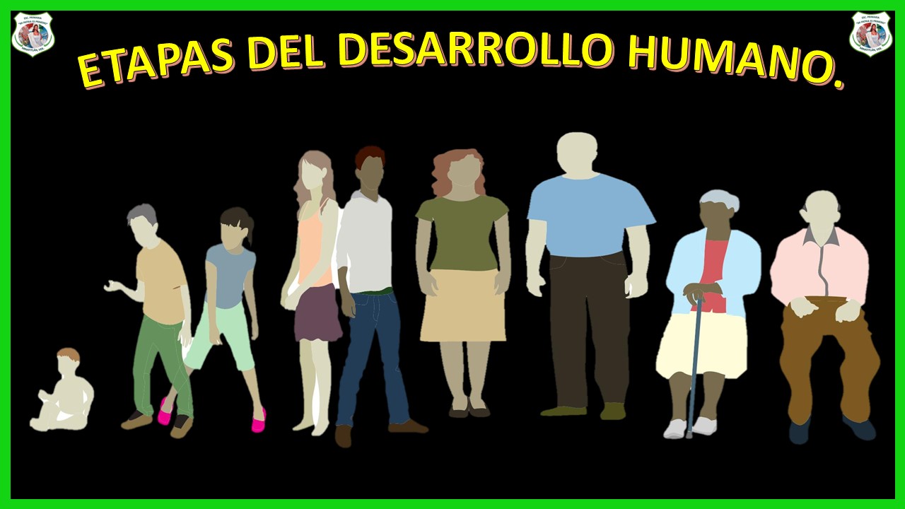 SEXTO GRADO GRUPO "D".: ETAPAS DEL DESARROLLO HUMANO: LA REPRODUCCIÓN ...