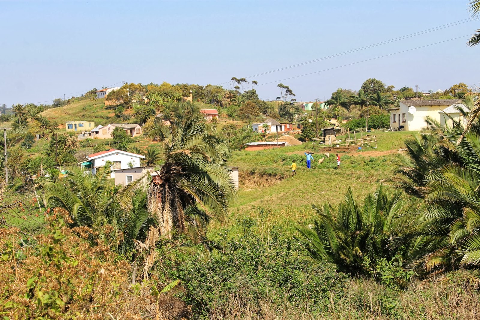 My Journey: Healthcare & International Travel: Mtwalume: Description ...