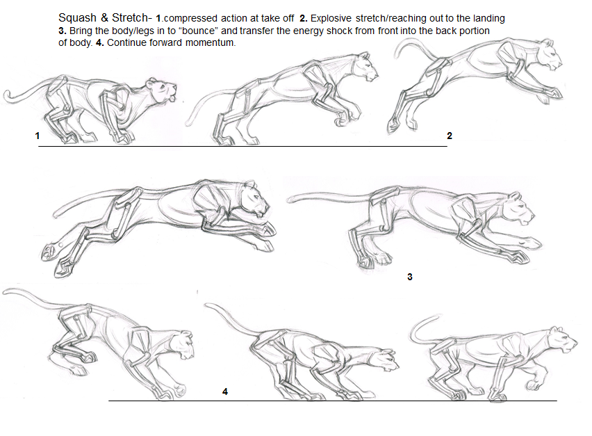 Animal Drawing and Anatomy: Weekly Instruction Drawing