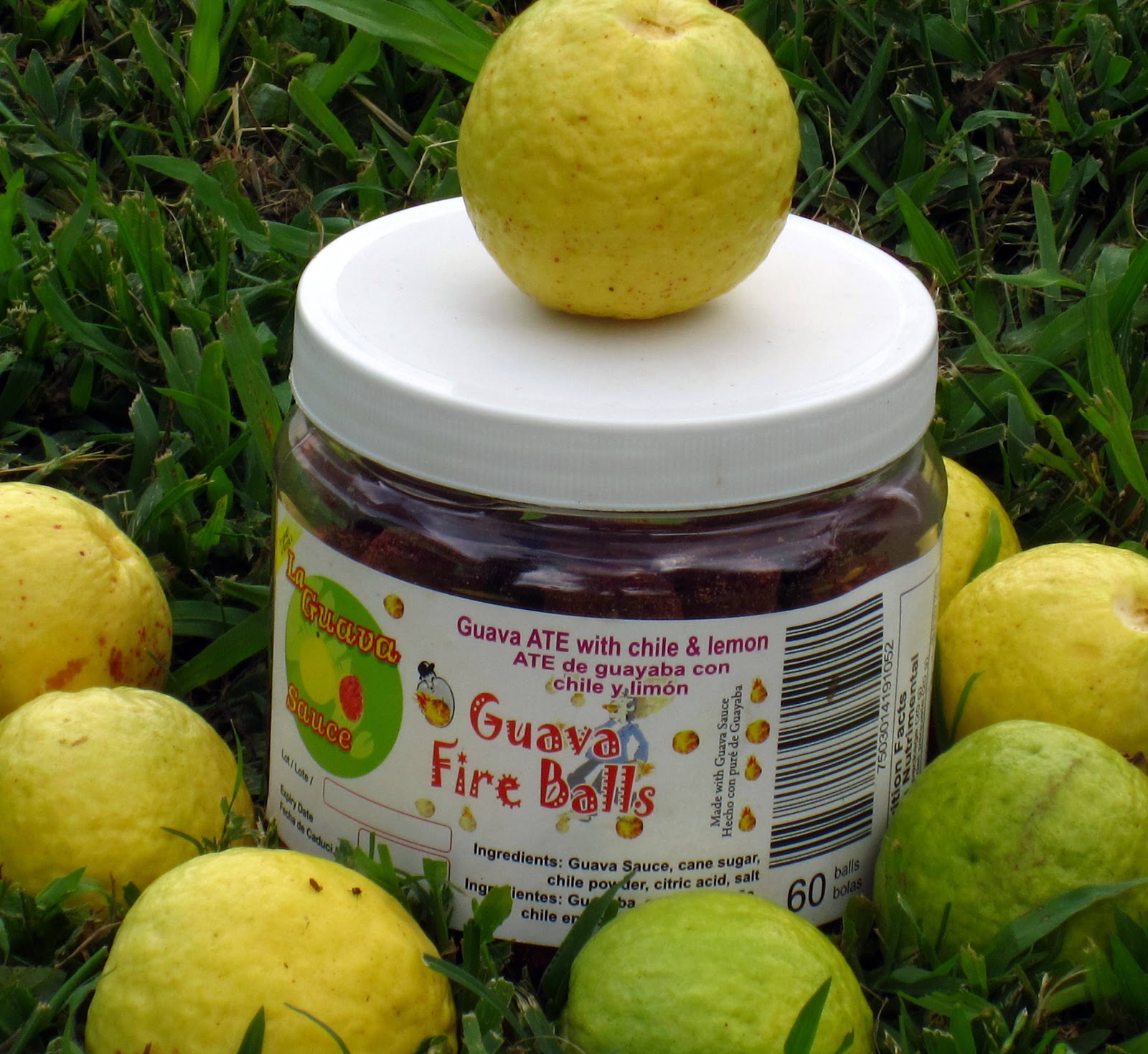 The World of Guava: 2012