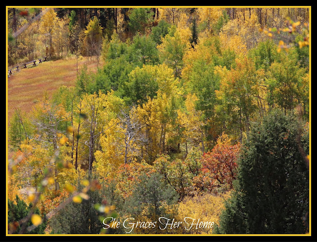 She Graces Her Home In God's Beauty: Our Glorious Fall Colors