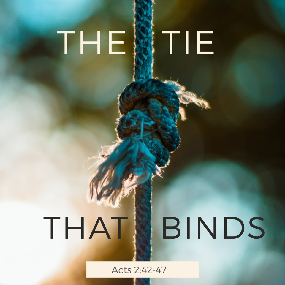 Pickett Post: The Tie That Binds